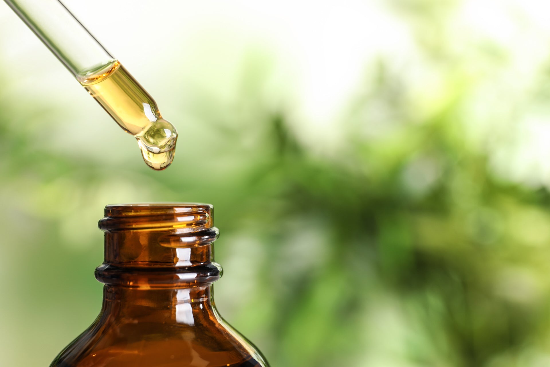 HOCl vs. Tea Tree Oil: The Ultimate Clear Skin Showdown! – Say Hooray ...